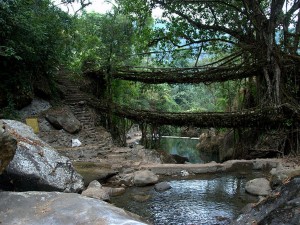 Sase poduri frumoase si neobisnuite din lume | Life & Travel